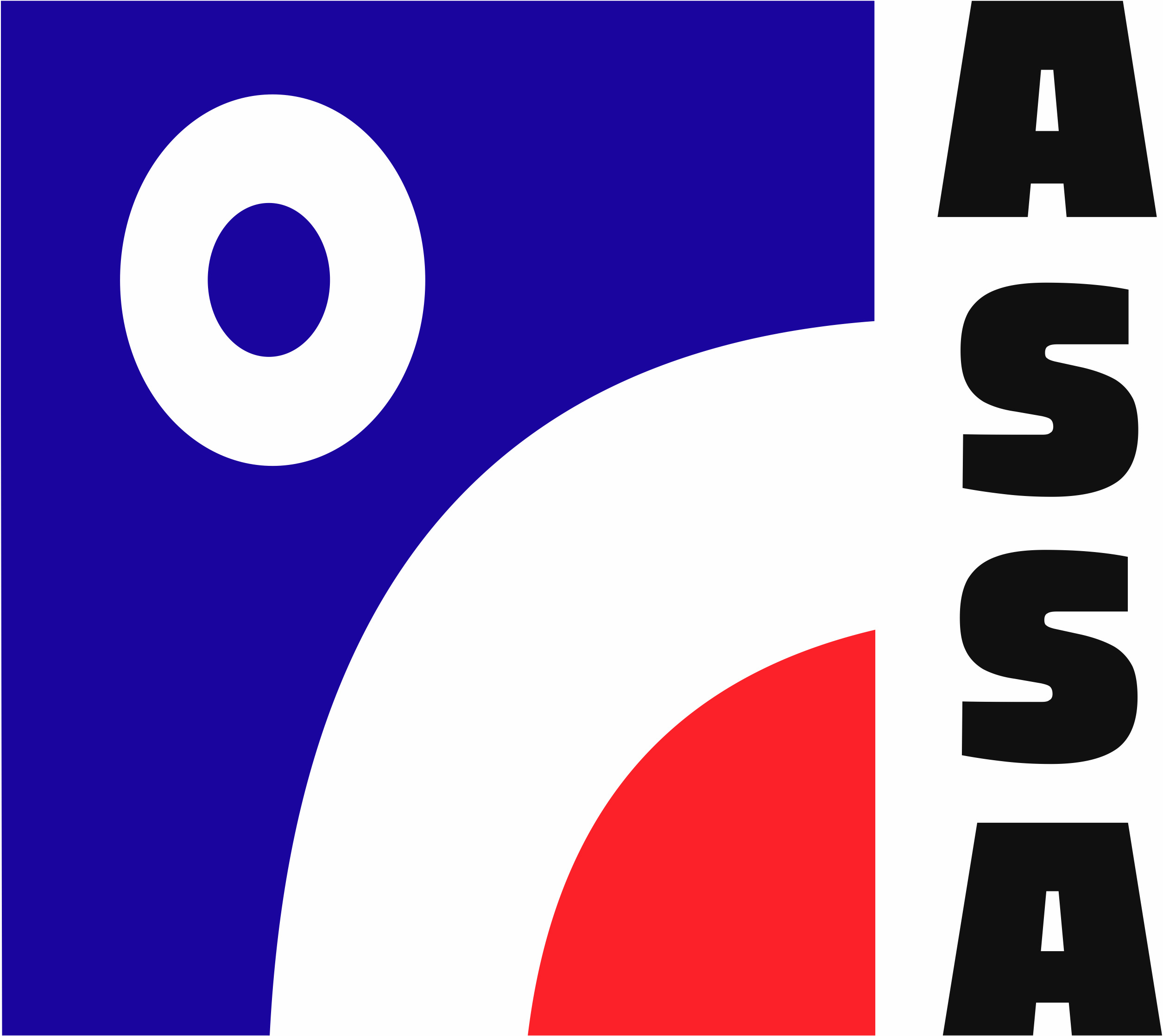 ASSA Servicios y Manufacturaion S.A. de C.V.